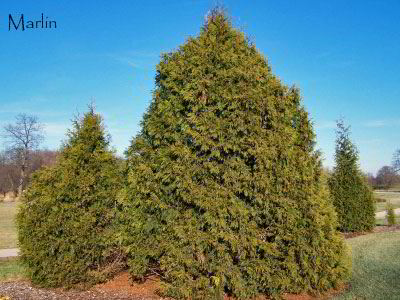 Arbors of Arboretums the Wilderness Throughout the World | People's ...