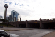 Dealey Plaza, Dallas Texas - North American Insects & spiders